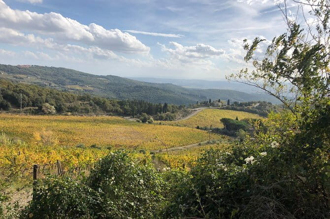 Tuscany off the beaten paths - What’s Included and What’s Not