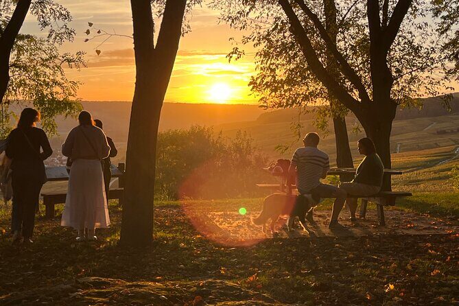 Tuscany & Pitigliano Day Tour from Rome with Wine Tasting & Lunch - Key Points