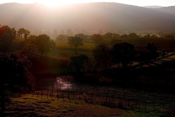 Tuscany & Pitigliano Day Tour from Rome with Wine Tasting & Lunch - A Closer Look at the Itinerary
