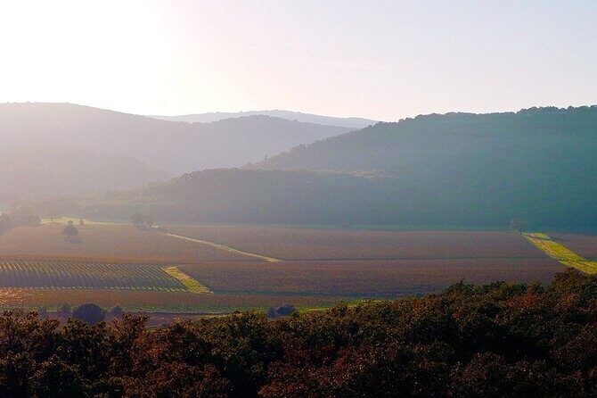 Tuscany & Pitigliano Day Tour from Rome with Wine Tasting & Lunch - FAQs