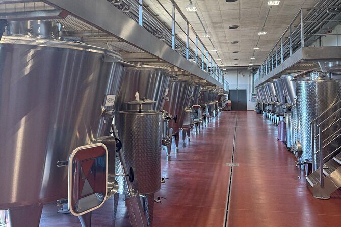 Tuscany & Pitigliano Day Tour from Rome with Wine Tasting & Lunch - Final Thoughts