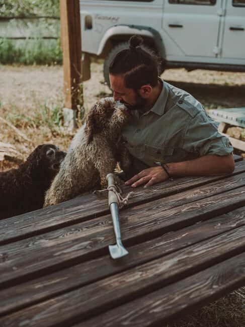 Tuscany: Volterra Truffle Hunting Experience - Key Points