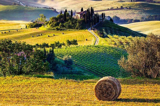 Tuscany Wine & Hills from Florence - Small Group - The Realities of the Day