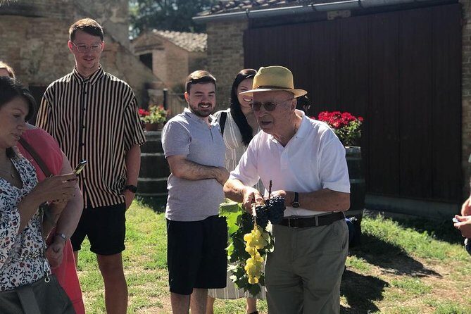 Tuscany Wine & Hills from Siena - Small Group - Final Thoughts