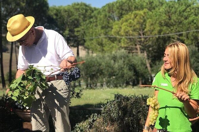 Tuscany Wine & Hills from Siena - Small Group - FAQs