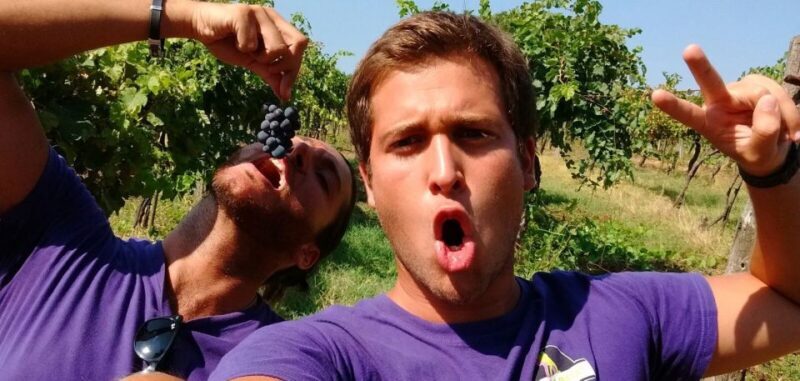 Tuscany Wine Tour : 2 Wineries & San Gimignano from Florence - The Sum Up: Who Will Love This Tour?