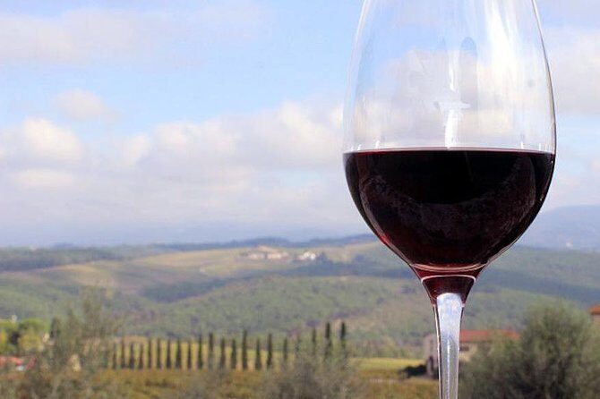 Tuscany Wine Tour from Rome with Private Driver - Exploring the Tuscany Wine Tour from Rome with a Private Driver
