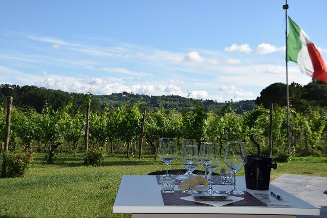 Tuscany Wine Tours in a family winery Podere Pellicciano - A Closer Look at the Tour Experience