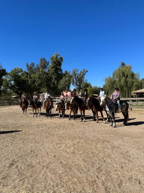 Tuscon: Rancho Cerros Horseback Riding Tout with Great Views - FAQ: Your Questions About the Rancho Cerros Horseback Riding Tour