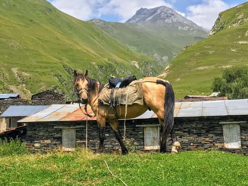 Tusheti Thrill: Limited-Time Mountain Escape 3 day tour - Key Points