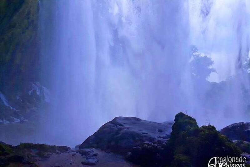 Tuxtla Gutierrez: Agua Azul, Misol Ha & Palenque Experience - Key Points