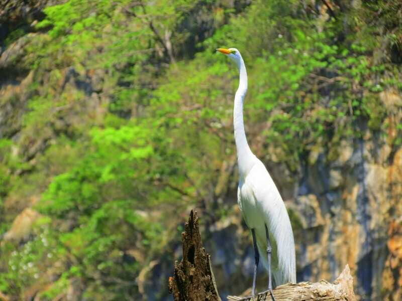 Tuxtla: Sumidero Canyon, San Juan Chamula & Zinacantán Tour - FAQ