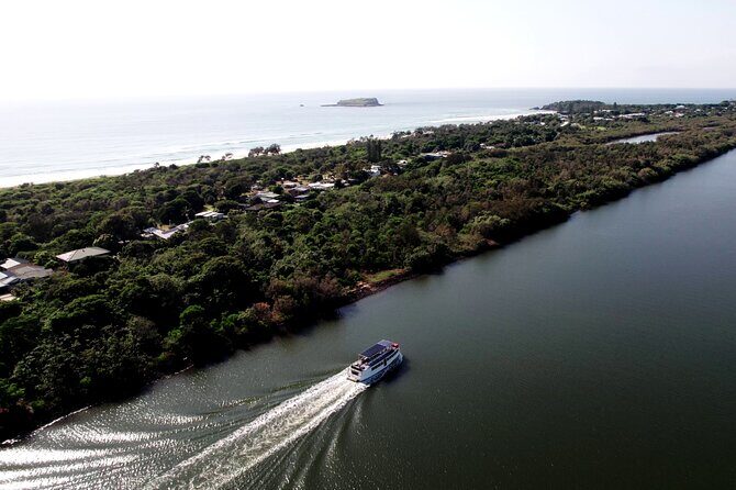 Tweed River and Rainforest lunch Cruise - Authentic Insights from Reviewers