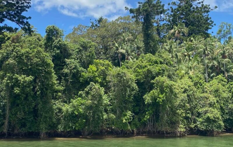 Tweed River Cruise: relax with a Morning Tea cruise - An Authentic Look at the Tweed River Morning Tea Cruise