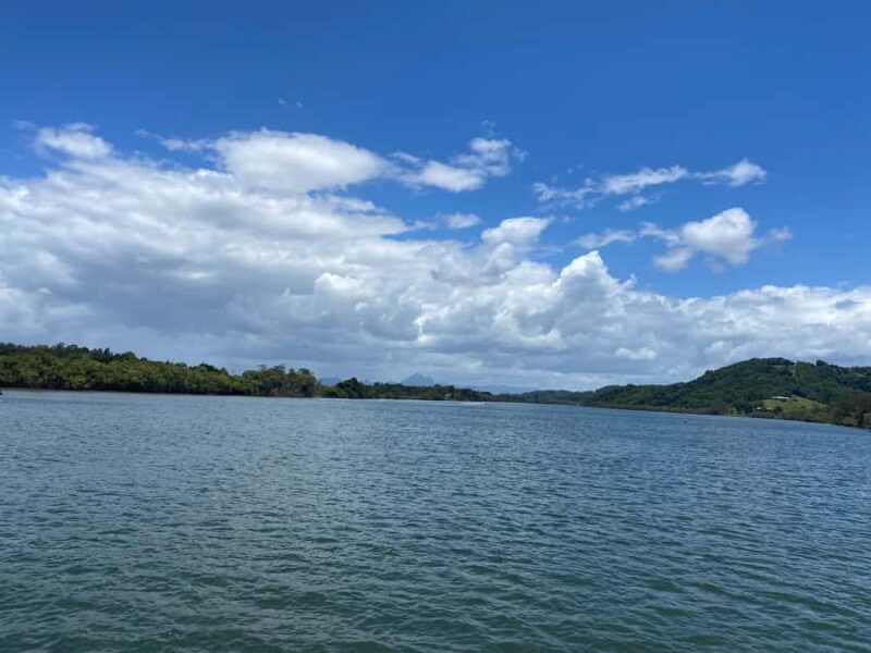 Tweed River Cruise: relax with a Morning Tea cruise - Who Will Love This Tour?