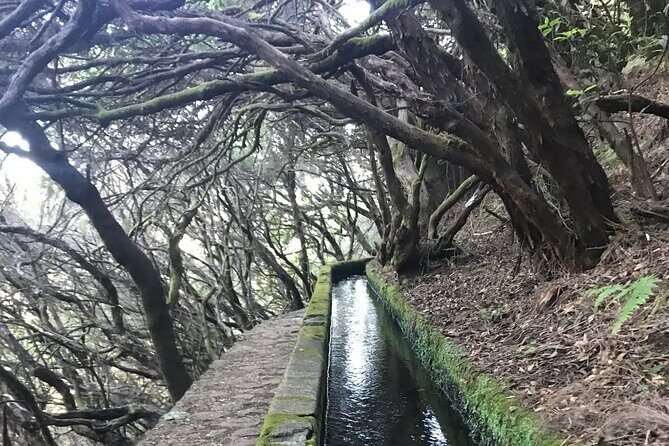Twenty-Five Fountains Levada walks (private) - An In-Depth Look at the Twenty-Five Fountains Levada Walk