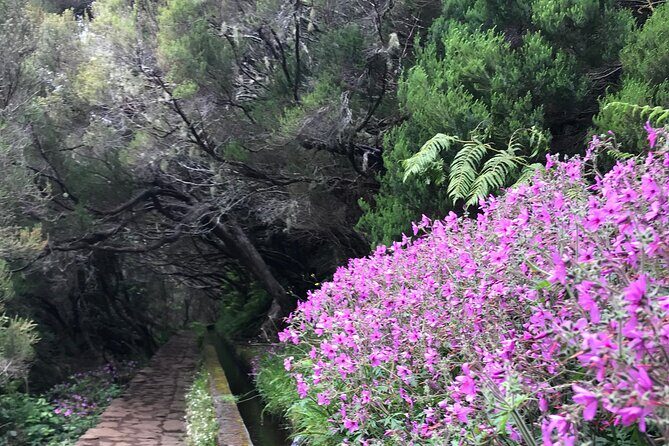 Twenty-Five Fountains Levada walks (private) - The Sum Up: The Perfect Balance of Nature and Comfort