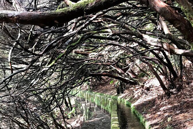 Twenty-Five Fountains Levada walks (private) - FAQ