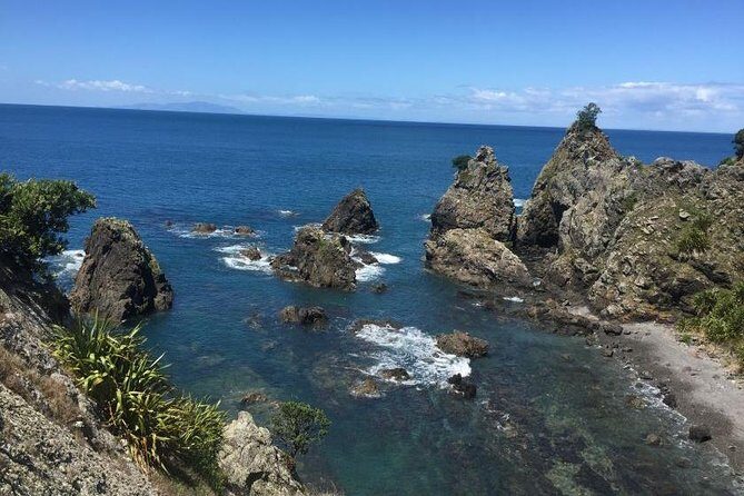 Twharanui- Get away from it all and experience New Zealand at its best - private tour - An In-Depth Look at the Tour Itinerary
