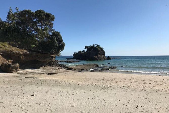 Twharanui- Get away from it all and experience New Zealand at its best - private tour - Who Is This Tour Best Suited For?