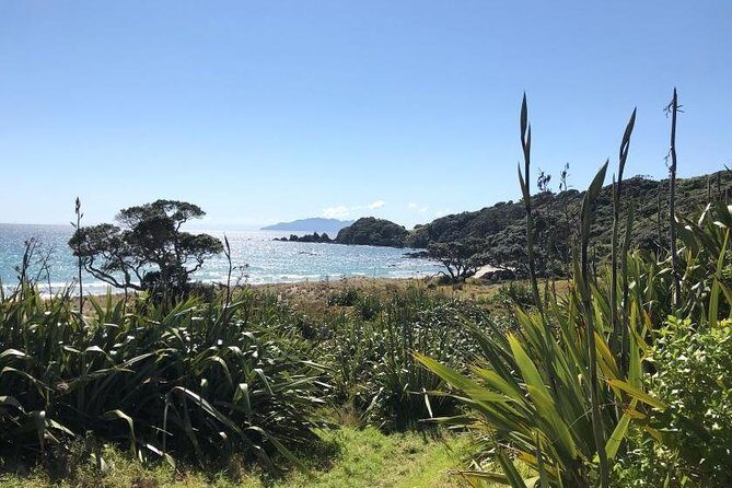 Twharanui- Get away from it all and experience New Zealand at its best - private tour - FAQs