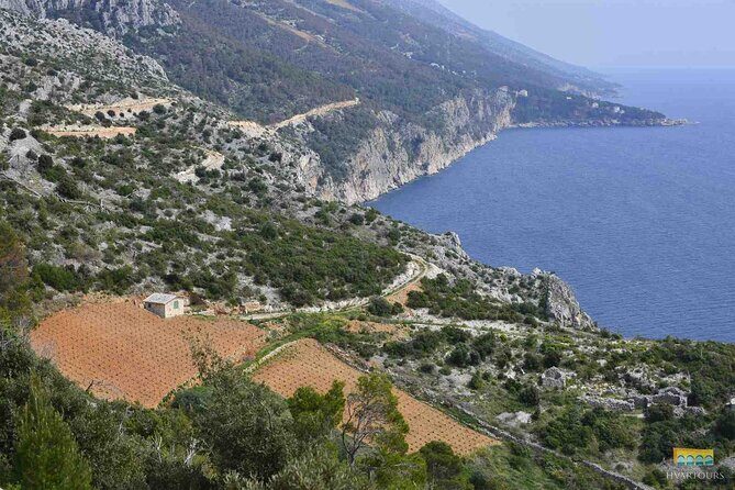 Twice the Wine - Two wineries half day tour, with delicacies - Overall Value and Who Should Book