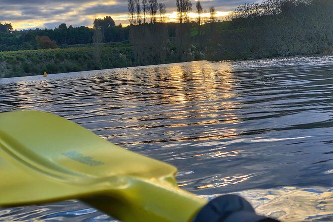 Twilight Glowworm Kayak Tour  Lake Karapiro - An In-Depth Look at the Experience
