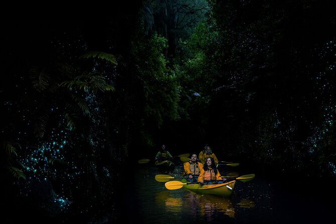 Twilight Glowworm Kayak Tour  Lake Karapiro - FAQ