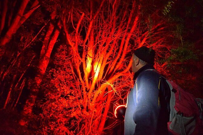 Twilight Wild Kiwi Bird Encounter Private Tour - Why This Tour Offers Great Value