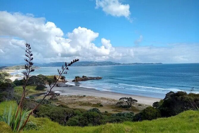 Twilight Wild Kiwi Bird Encounter Private Tour - The Sum Up