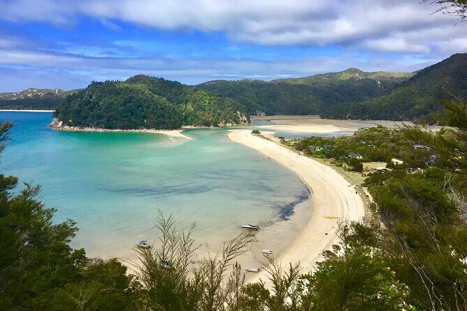 Twilight Wild Kiwi Bird Encounter Private Tour - FAQ