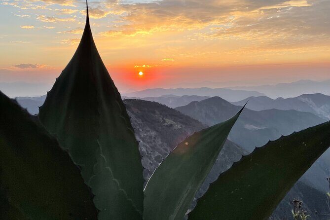 Two days adventure to Pinal de Amoles and Bernal, Querétaro. - Transportation and Duration