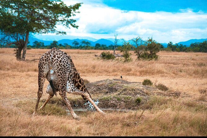 Two Days Safari by Train - Transportation and Guide Quality