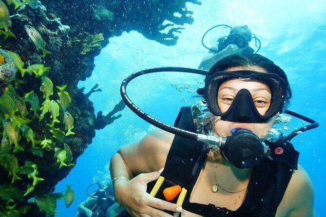 Two Dives and Class for Begginers Divers in Cancun - Key Points