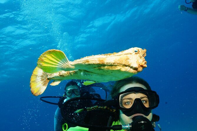 Two Dives and Class for Begginers Divers in Cancun - The Experience in Detail