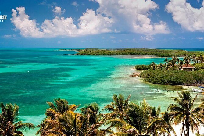 Two Fantastic Islands To Discover: Tour To Contoy & Isla Mujeres - Key Points  