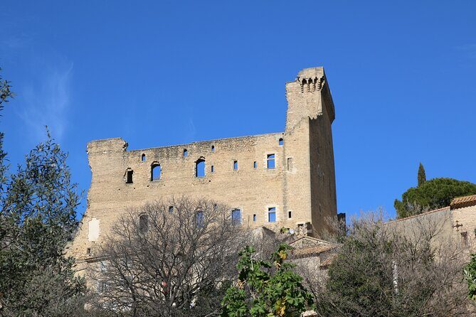 Two intensive days discover exceptional wines of the Rhône valley - Authentic Experiences as Told by Guests