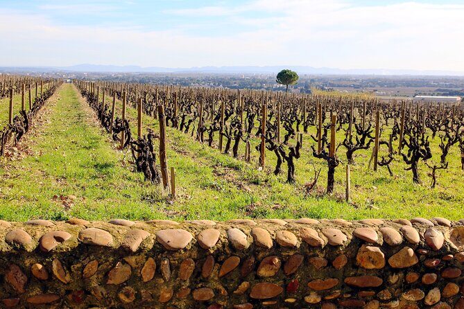 Two intensive days discover exceptional wines of the Rhône valley - Final Thoughts: Is This Tour Right for You?
