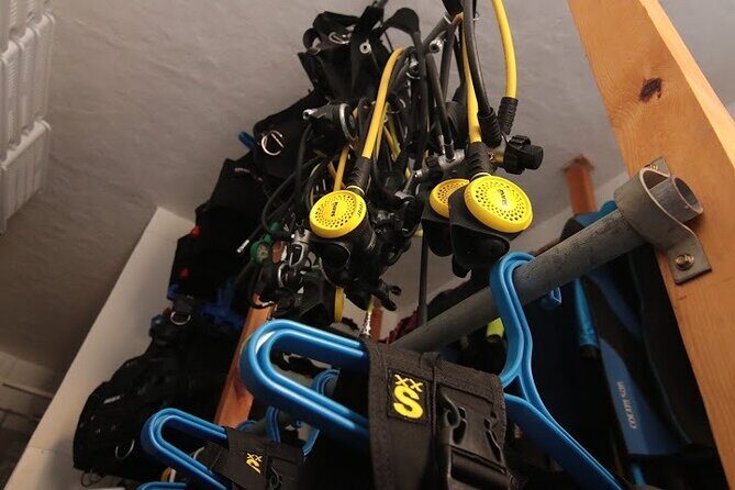 Two Morning Dives in Gozo for Certified Diver - Key Points  