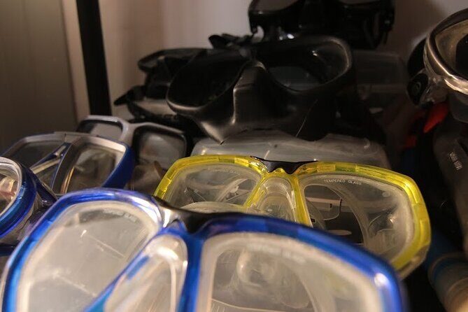 Two Morning Dives in Gozo for Certified Diver - Detailed Breakdown of the Dive Experience