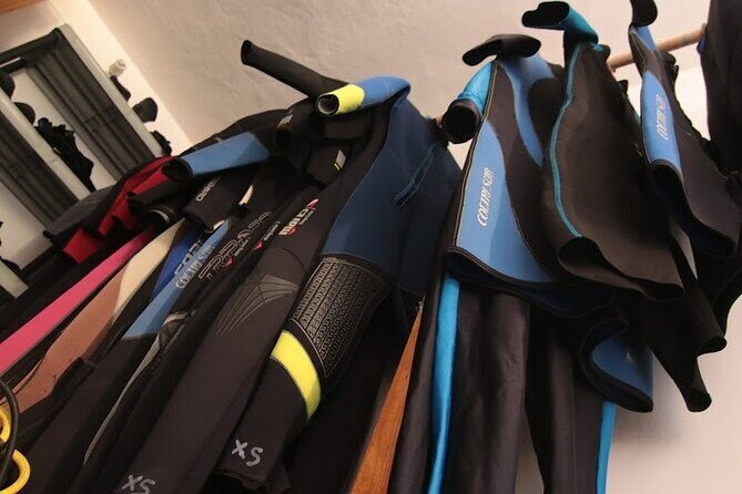 Two Morning Dives in Gozo for Certified Diver - Who Is This Tour Best For?