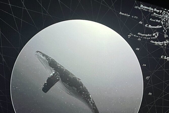 Two Oceans Private Tour - FAQ