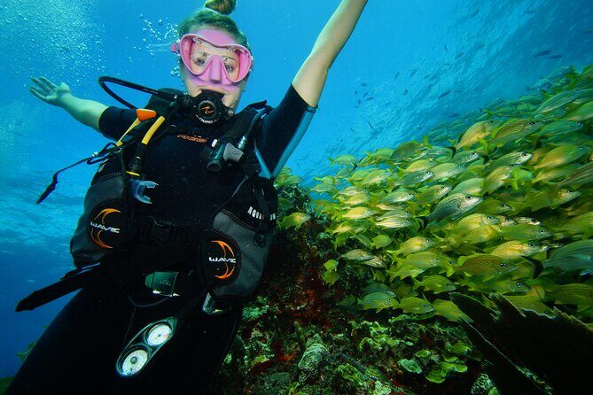 Two Reefs For Certified Divers in Cancun - What We Love About This Tour