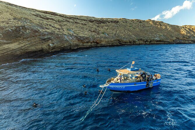Two Site Snorkeling Adventure featuring the Molokini Crater - Key Points