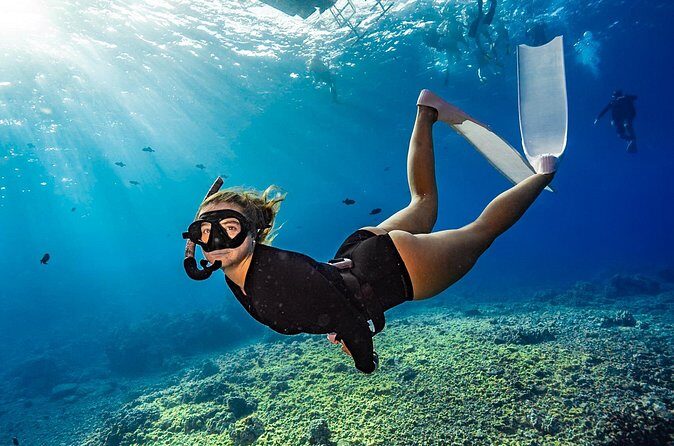 Two Site Snorkeling Adventure featuring the Molokini Crater - Transport, Timing, and Practical Considerations