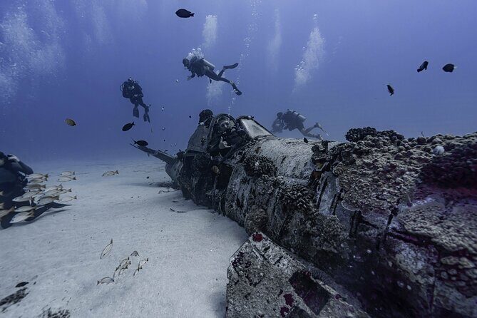 Two Tank Wreck and Drift Dive in Oahu - An In-Depth Look at the Two Tank Wreck and Drift Dive