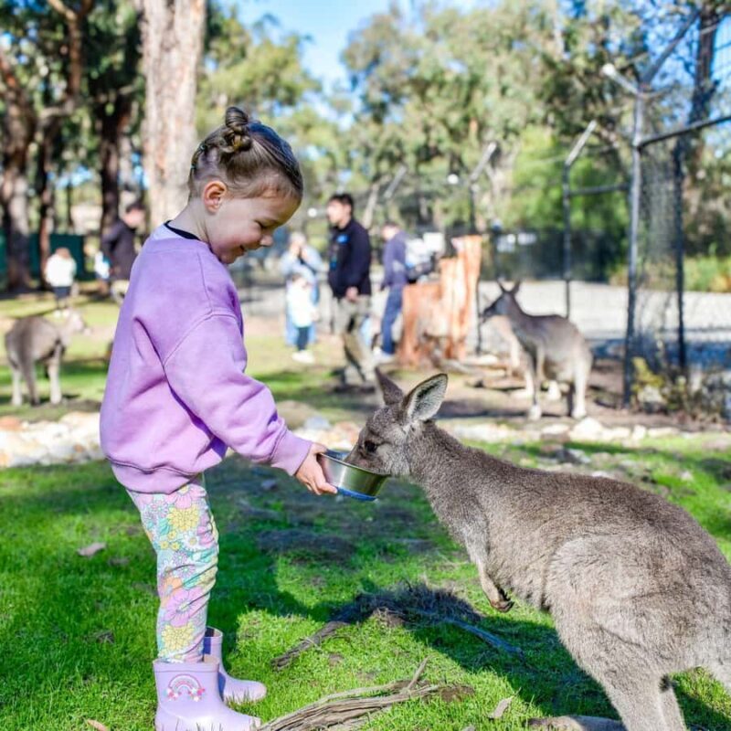 Tynong/Melbourne: Gumbuya World Theme Park Entry Ticket - Accessibility and Practicalities