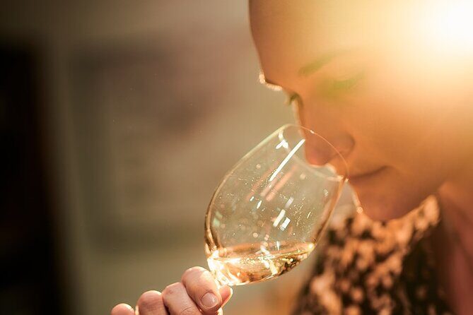 Tyrrell's Vat 1 Vertical Wine Tasting in Pokolbin, NSW - The Sum Up