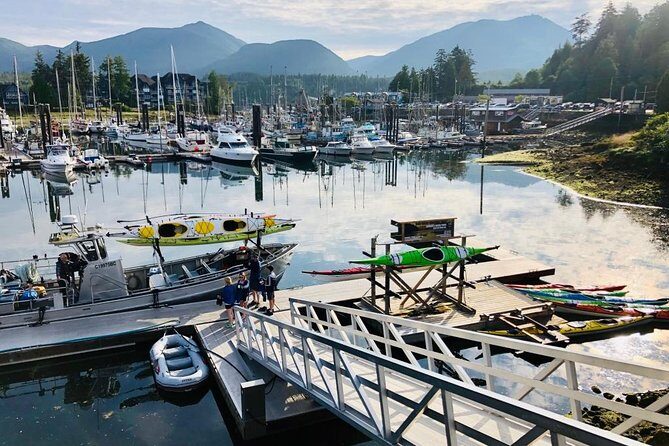 Ucluelet Harbour Tour - Who is This Tour Best Suited For?