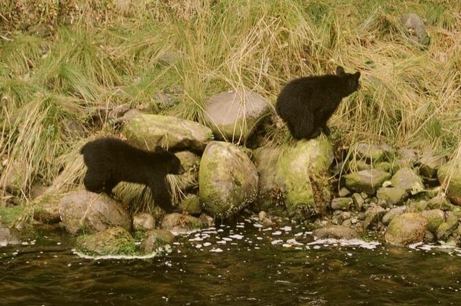 Ucluelet Harbour Tour - FAQs